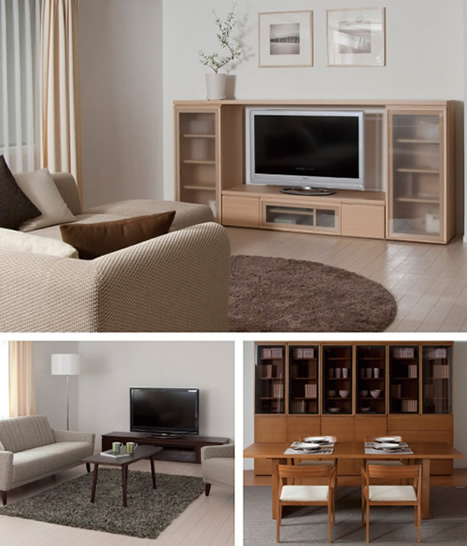 Concept | maruni | F-UNIT SYSTEM BOARD